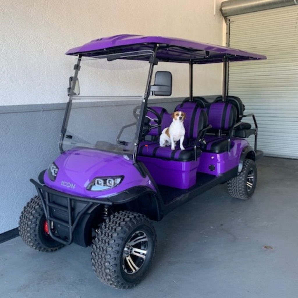 6 Passenger Lifted LSV Golf Cart - Space Coast Cart Rentals